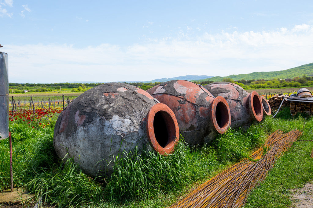 January Walkaround Tasting: Eastern European Wines! – Vino Carta